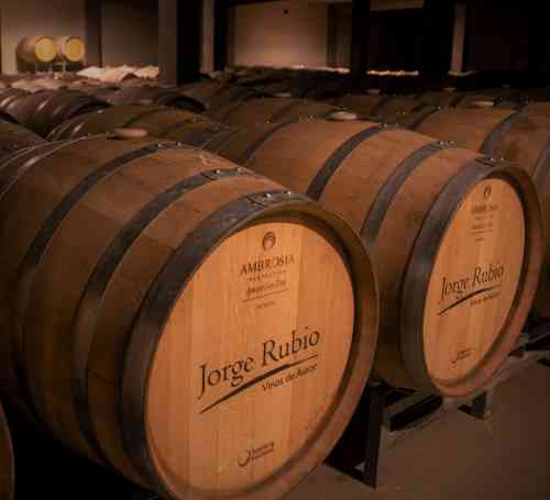 Bodega Jorge Rubio se suma a la celebración del Día del Cabernet Sauvignon - Buenos Aires Informa