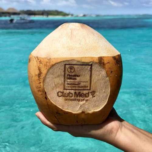 El Club Med se está preparando para continuar celebrando la vida ...