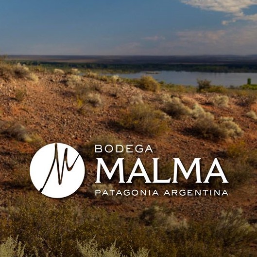 La Bodega Malma desarrolla ecoleños a partir de la cosecha 2019/2020 ...