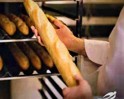 Lesaffre Argentina celebra el Día Mundial del Pan - Buenos Aires Informa